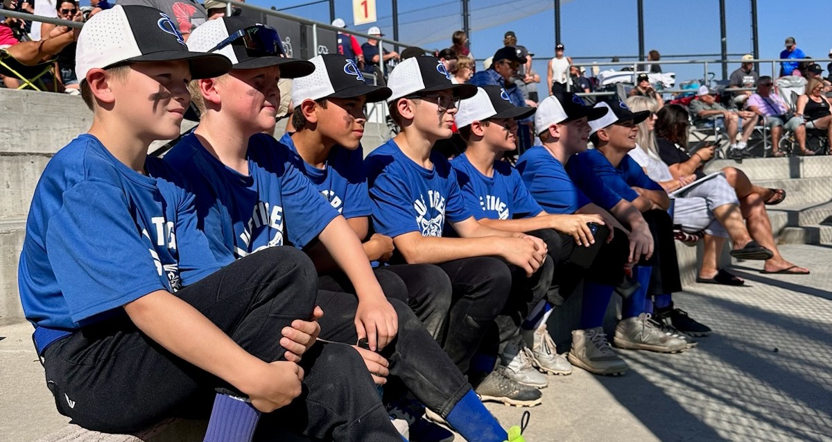 Blue Tigers Donation/Sponsorship | DoJiggy